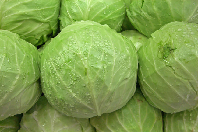 How to Cook Cabbage The Easy Way - Super Foods Life